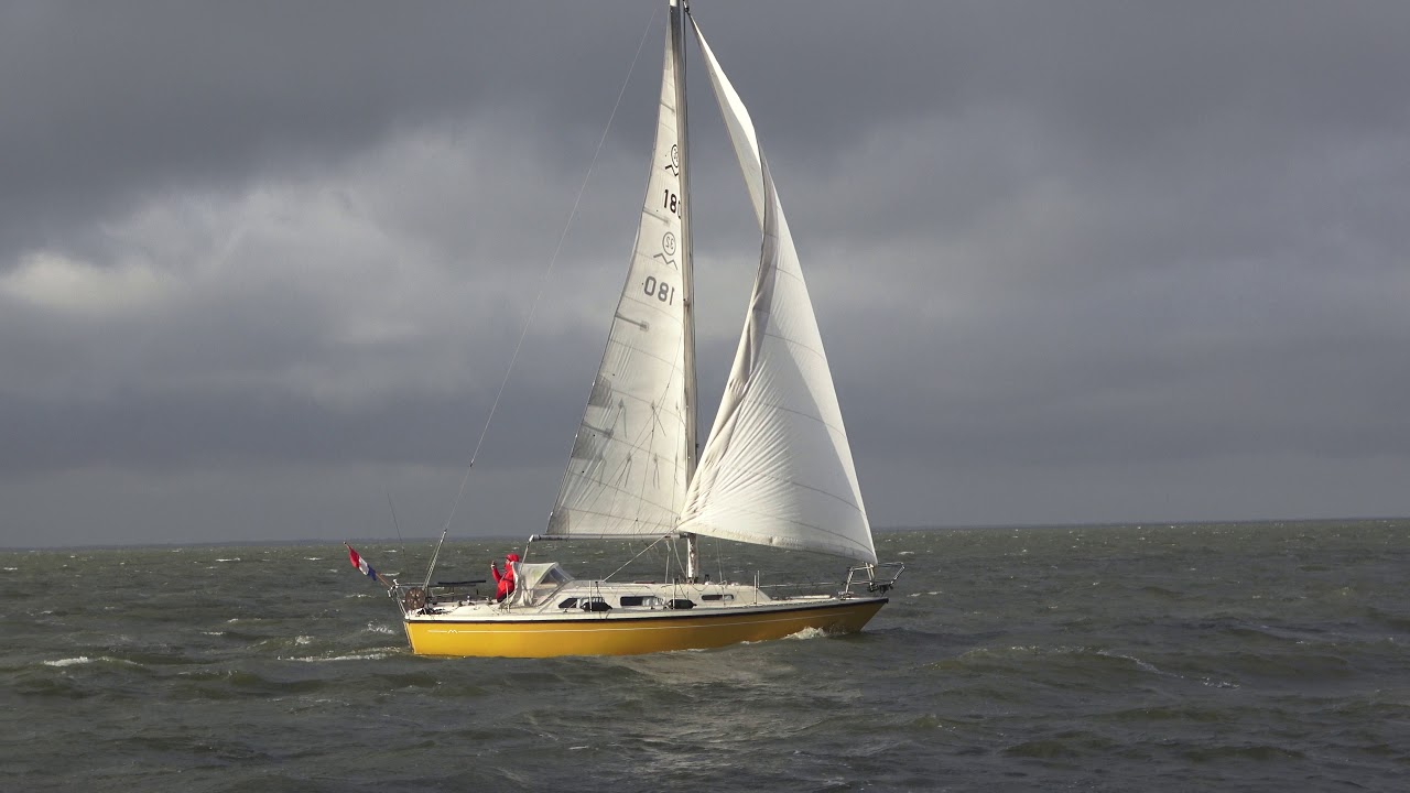 Marieholm 32E Blauwvoet - YouTube