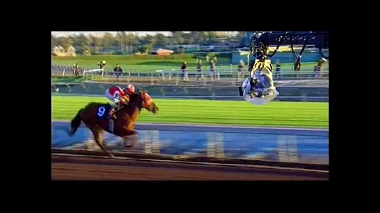 LIBRA stabilzed remote head - Shorweel Intro - YouTube