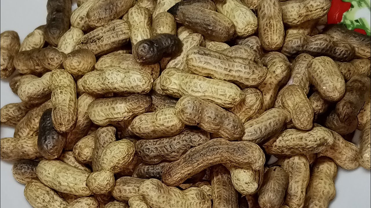 How To Roast Groundnut With The Shell | Roasted Peanut | Fry Groundnut ...