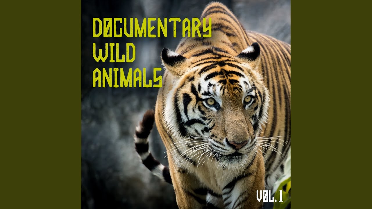 Hunting Prey - YouTube