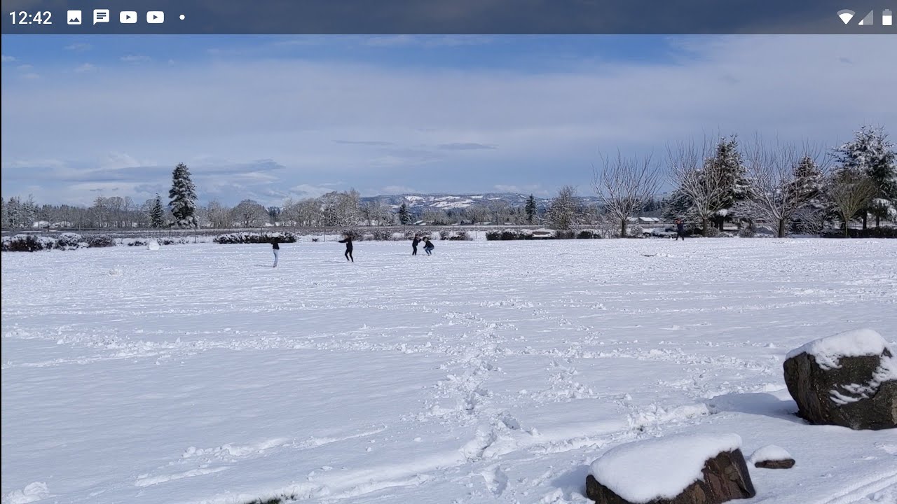 Winter in Washington state/अमेरिका में बर्फबारी देखो/The green State ...