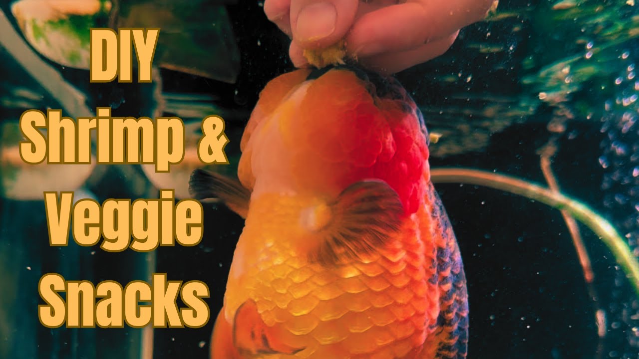 Homemade Goldfish Food –No Preservatives, All Natural! - YouTube