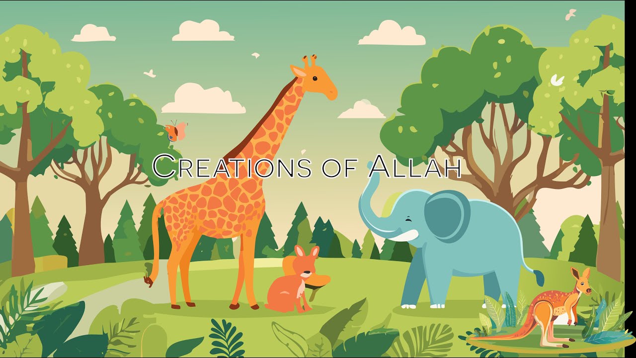 Creations of Allah | Unique abilities of all creatures - YouTube