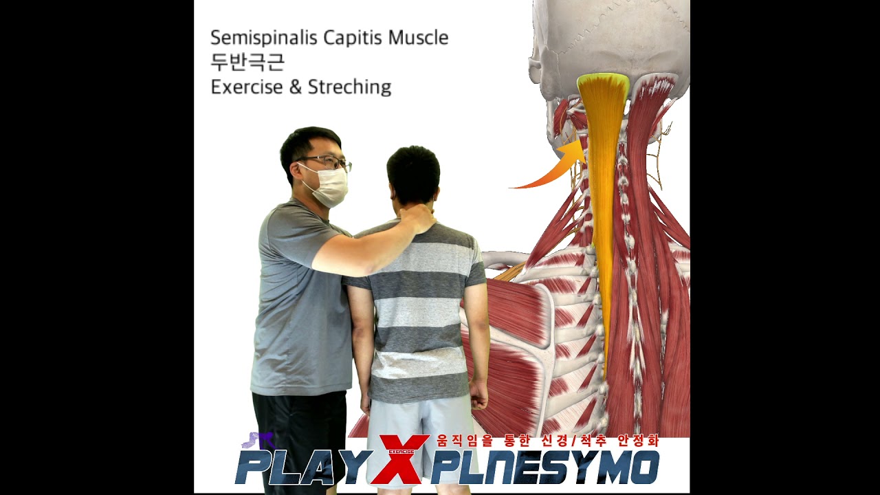 두통에 좋은 Semispinalis Capitis Muscle 두반극근 Exercise & Streching - YouTube