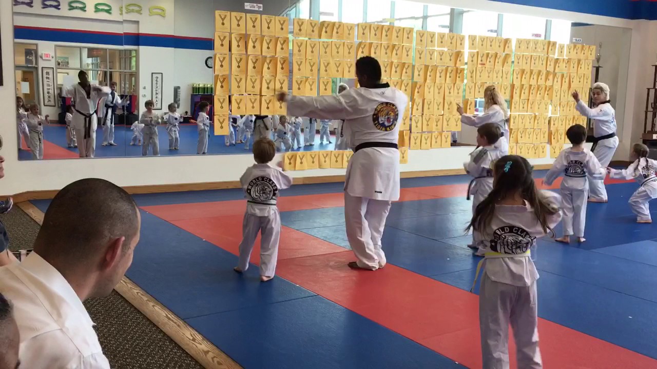 Tiger Kim's TKD dance - YouTube