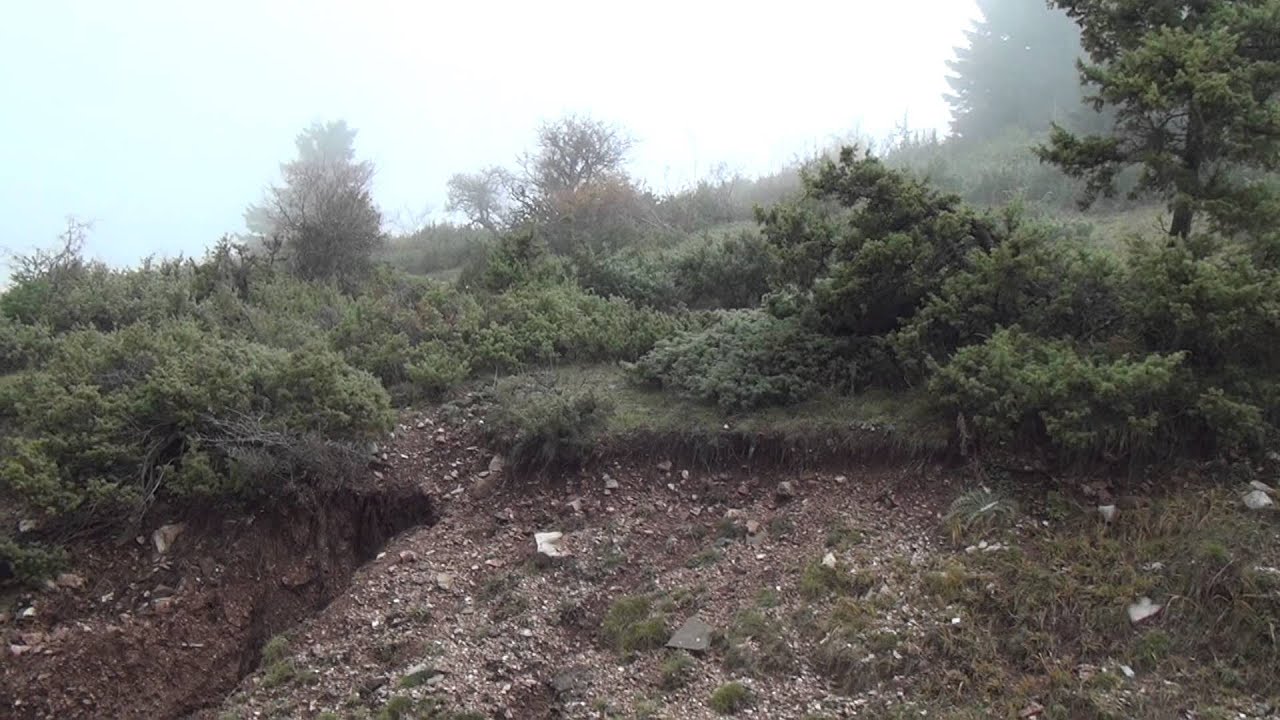 kinigi lagou me finlandika lagoskyla brellas (2) - YouTube