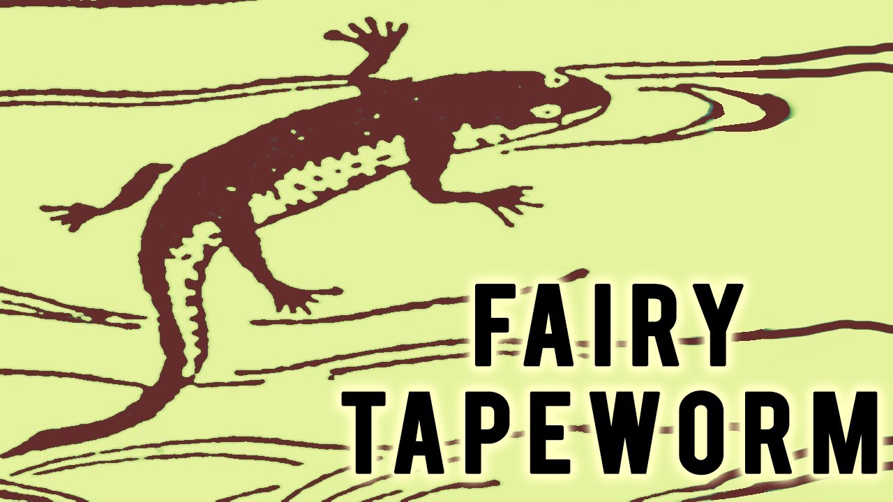 The Alp Luachra | Traditional Storytelling - YouTube