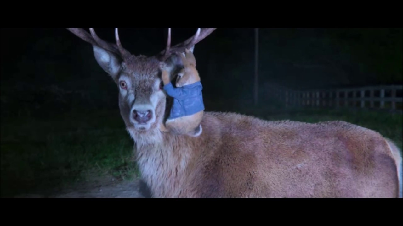 Escena "luces..." , de Félix en Peter Rabbit - YouTube