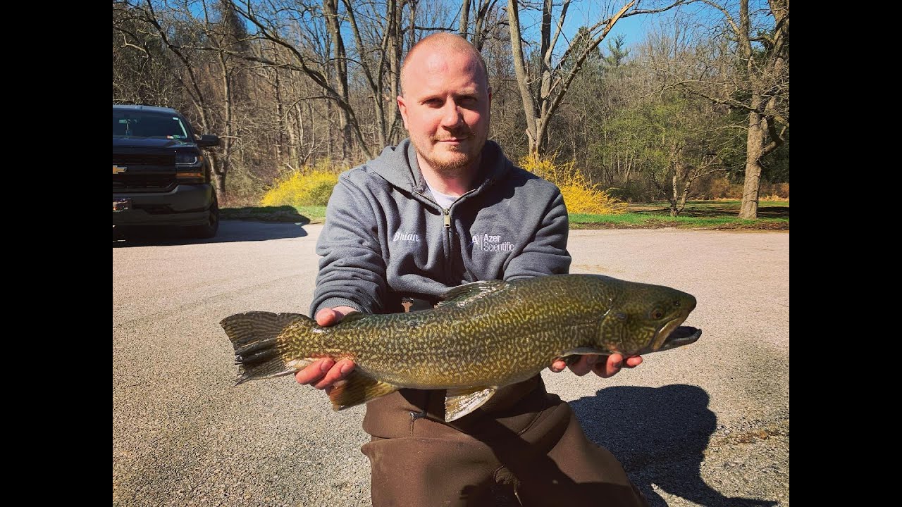 2022 PA Trout Opener Tiger Trout - YouTube