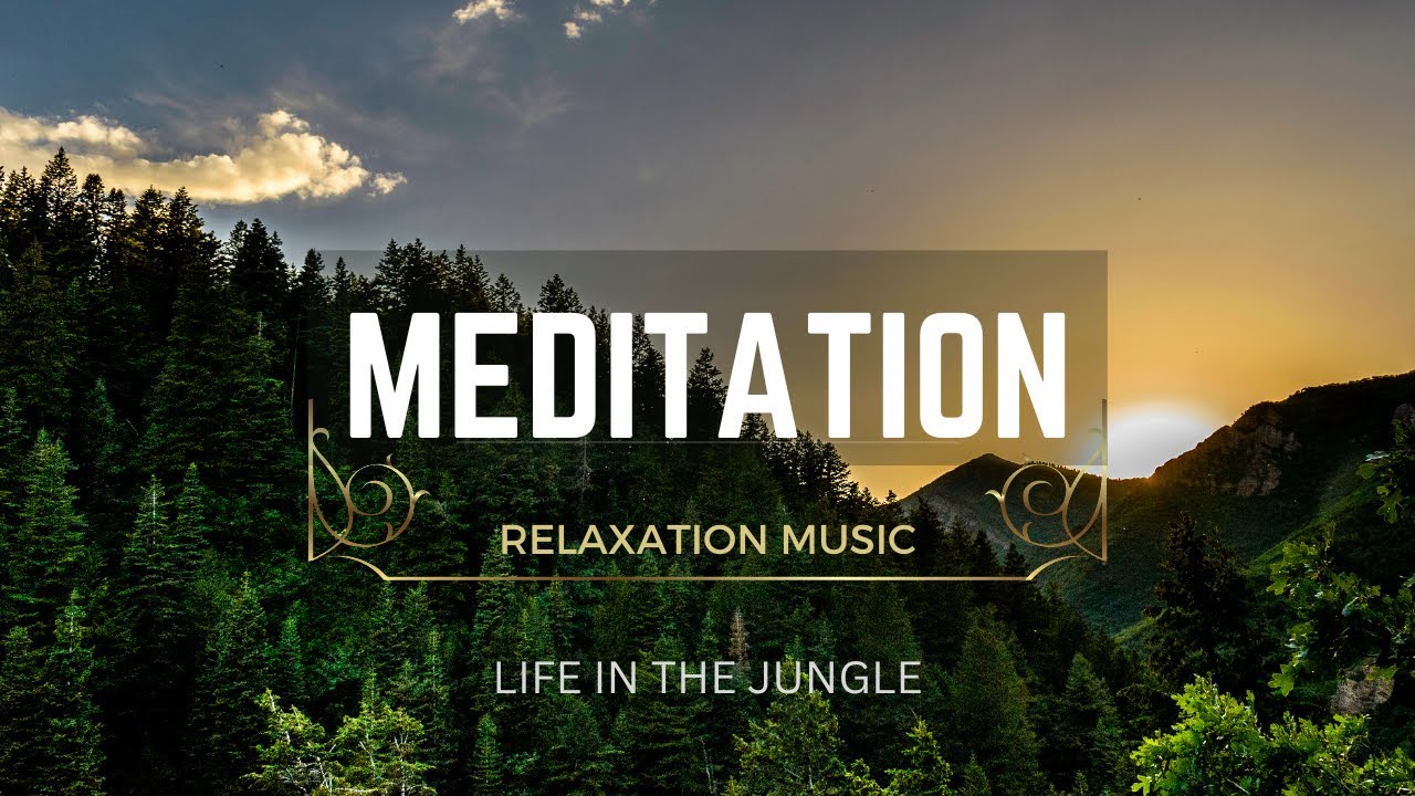 Meditation time | Relaxing music for sleep, meditation, and stress ...