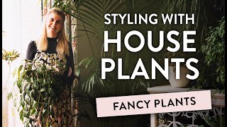 SECRETS TO CARING FOR YOUR HOUSEPLANTS - Insider tips from Fancy Plants