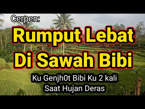 Cerpen Romantis || Bercocok Tanam Di Sawah Bibi