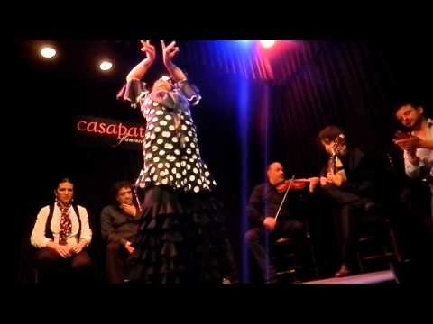 isa vega en casa patas solea