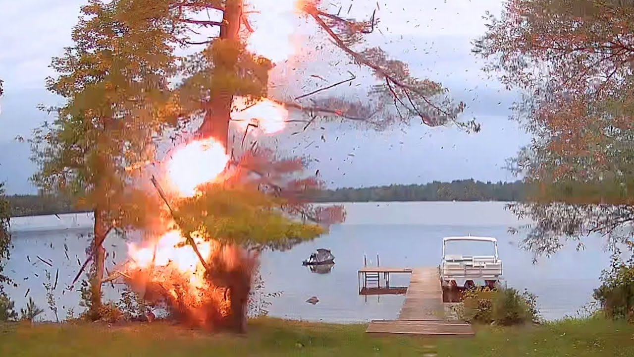 See dramatic moment powerful lightning strikes tree and ignites fire ...