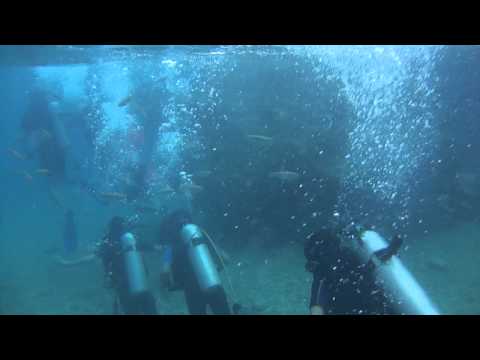 Scuba da HALAY