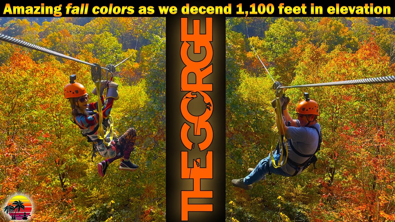Discover an Epic Fall Foliage Adventure: The Gorge Zipline in Saluda ...