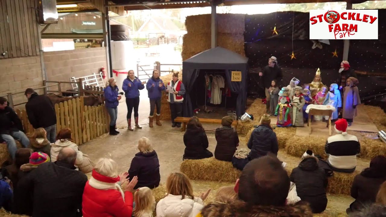 Merry Christmas from all the staff and animals at Stockley Farm Park ...