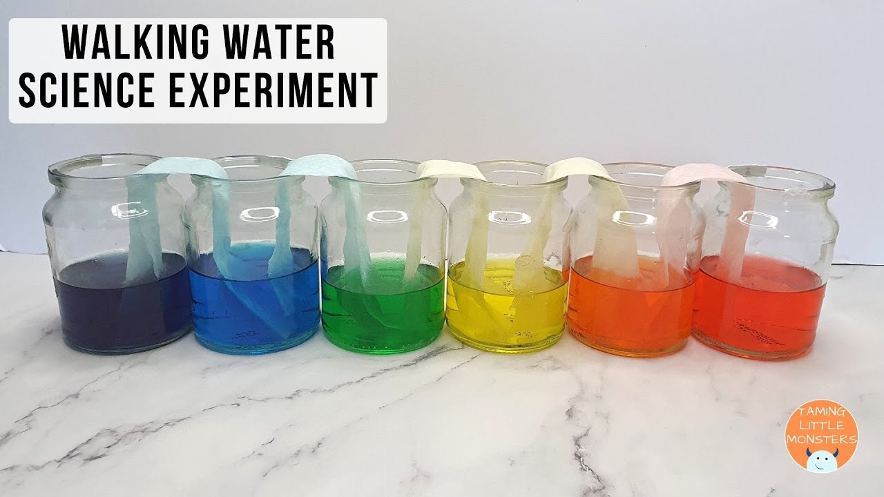 How to make a Walking Water Science Experiment for kids - YouTube