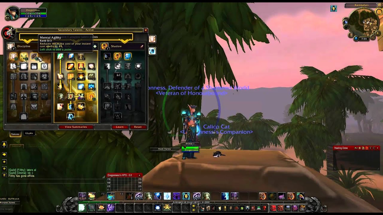 Holy Priest Raid Guide 4.3 - Talents and Glyphs - YouTube