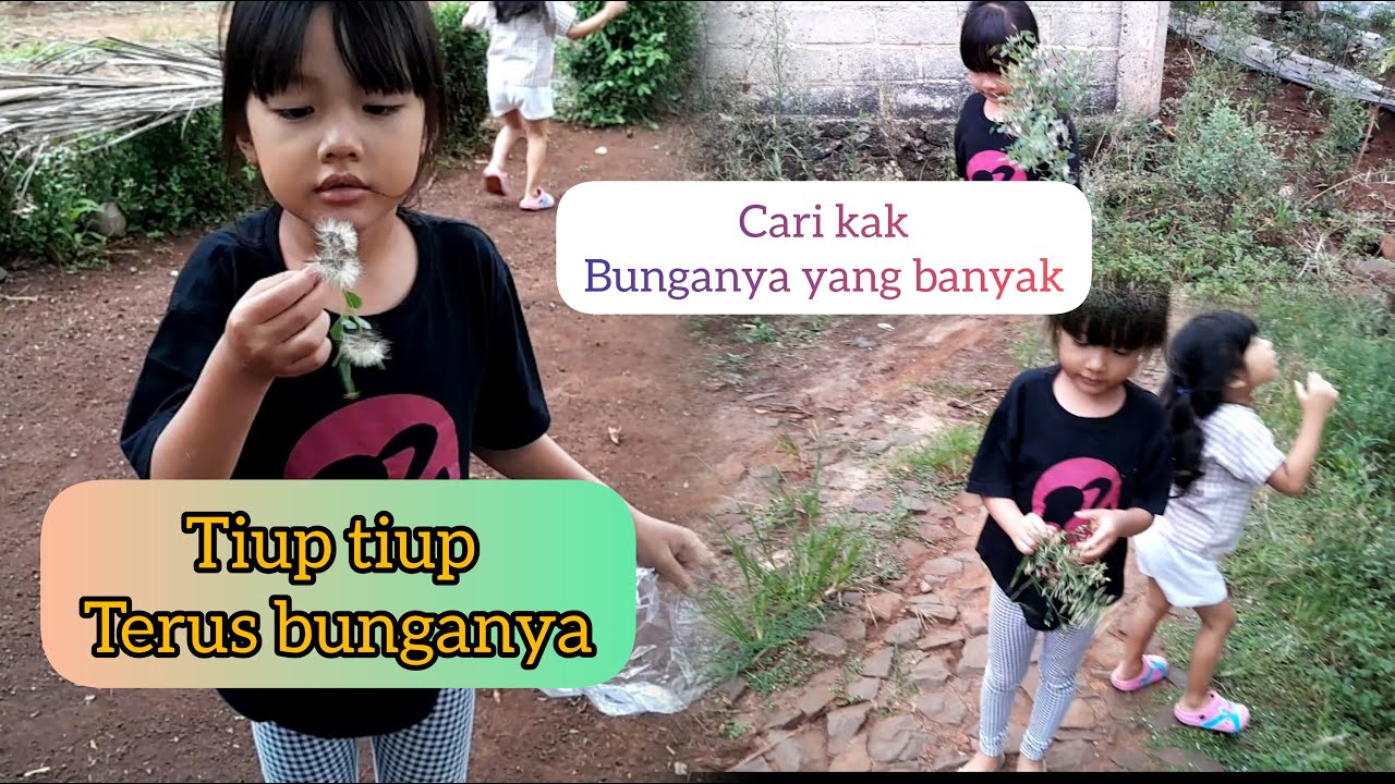 CARI BUNGA TIUP TIUP 😁😍 - YouTube