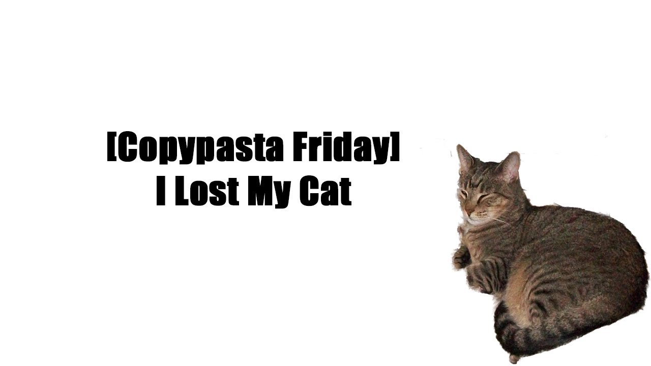 [Copypasta Friday] I Lost My Cat - YouTube