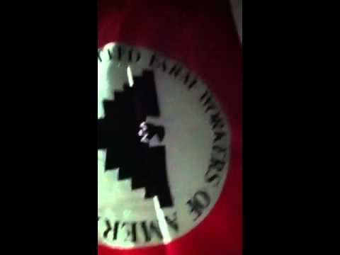 huelga bird - YouTube