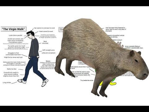 capybara chad vs virgin ninja - YouTube