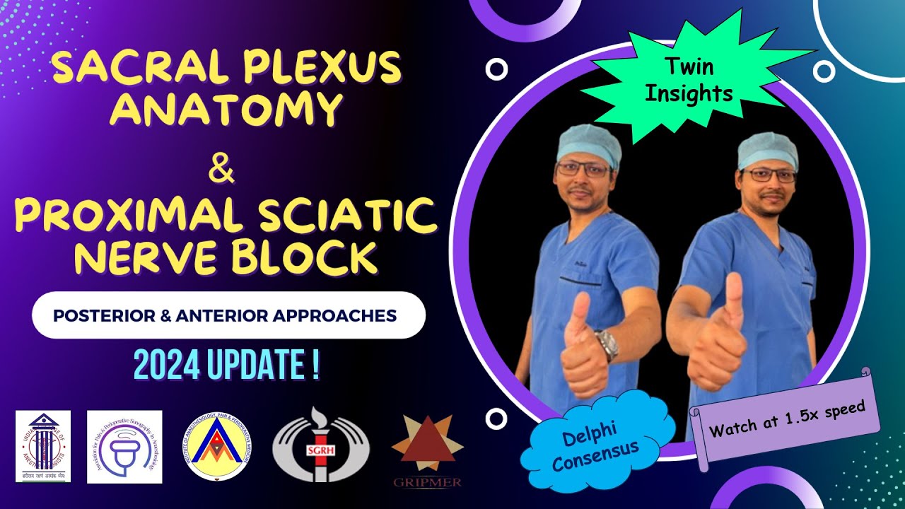 Twin Insights: Sacral Plexus Anatomy & Proximal Sciatic Nerve Block! 🟢🟢 ...