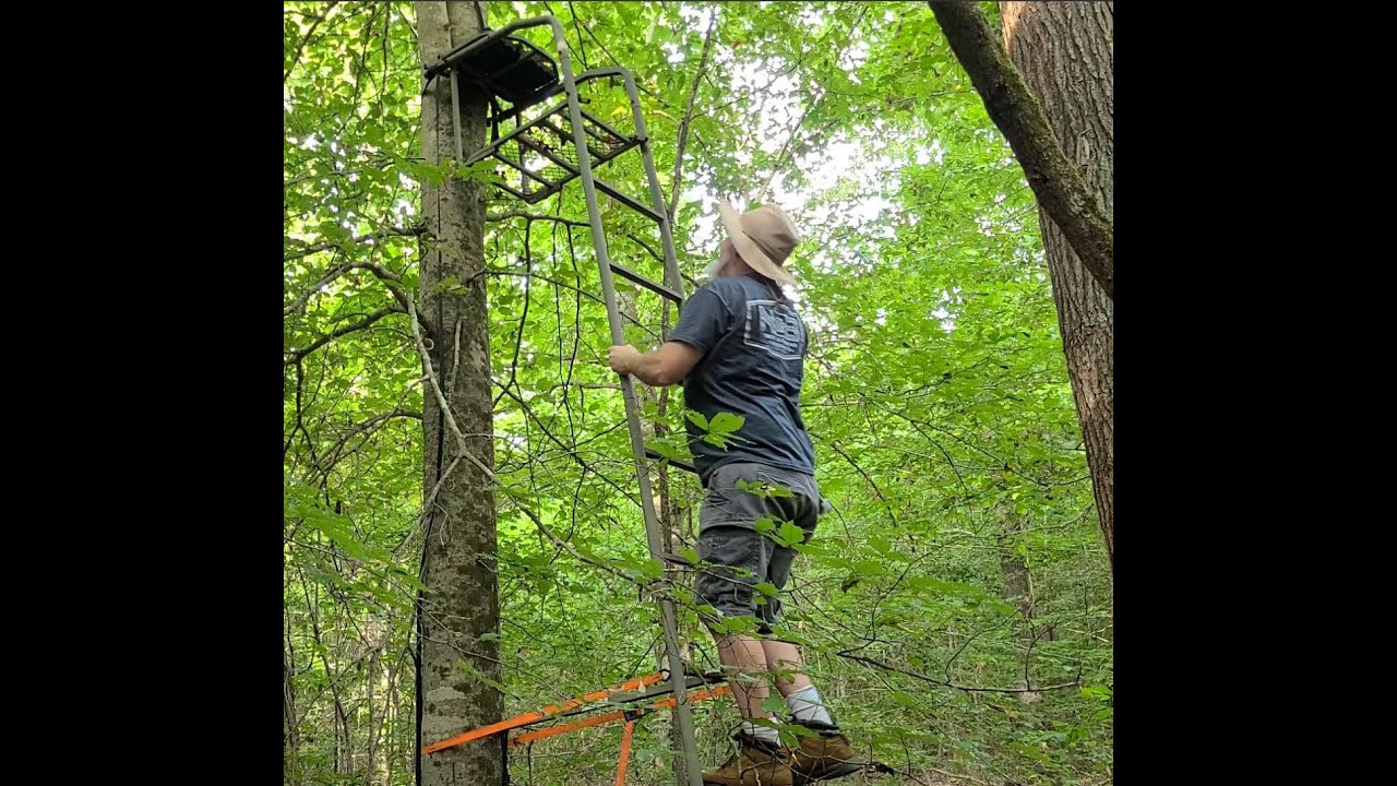 Awkward Ladder climbing and heavy breathing. - YouTube