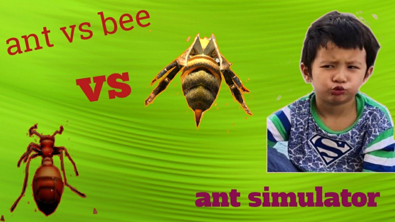 ant simulator game / petualang semut semut kecil - YouTube