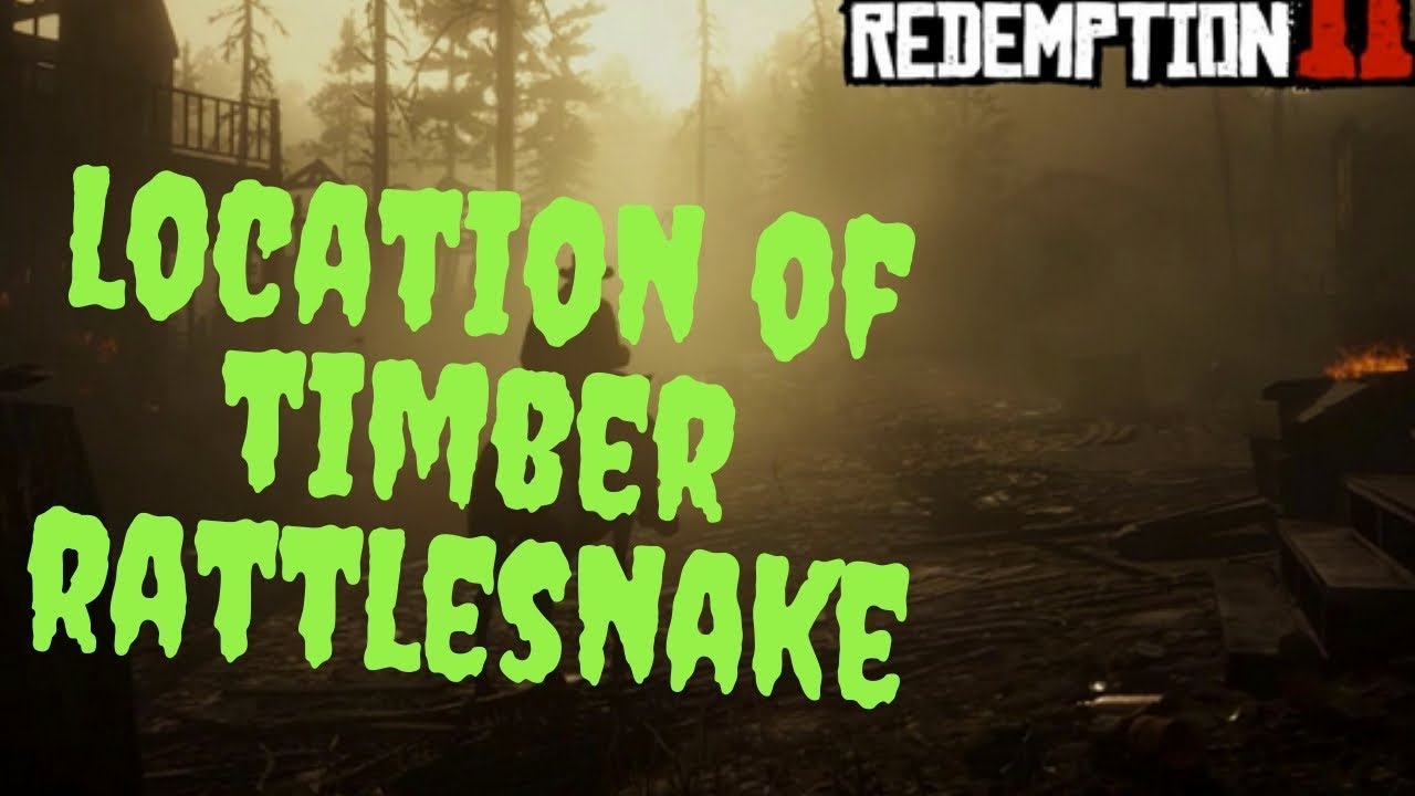 Red Dead Redemption 2 Timber rattlesnake location - YouTube