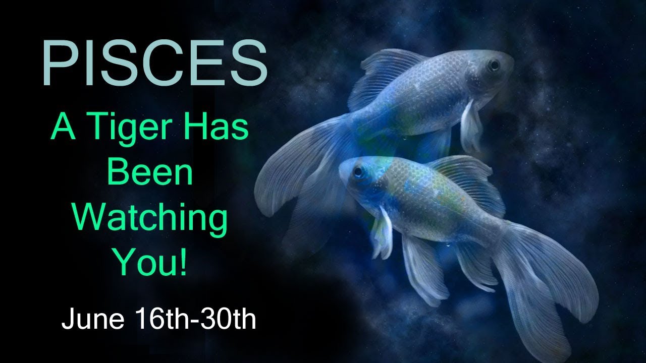 Pisces June 2019 Tarot Reading - A Tiger Has Been Watching You! June ...
