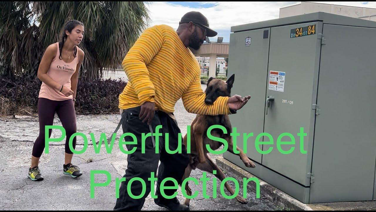 Urko powerful Street protection training - YouTube