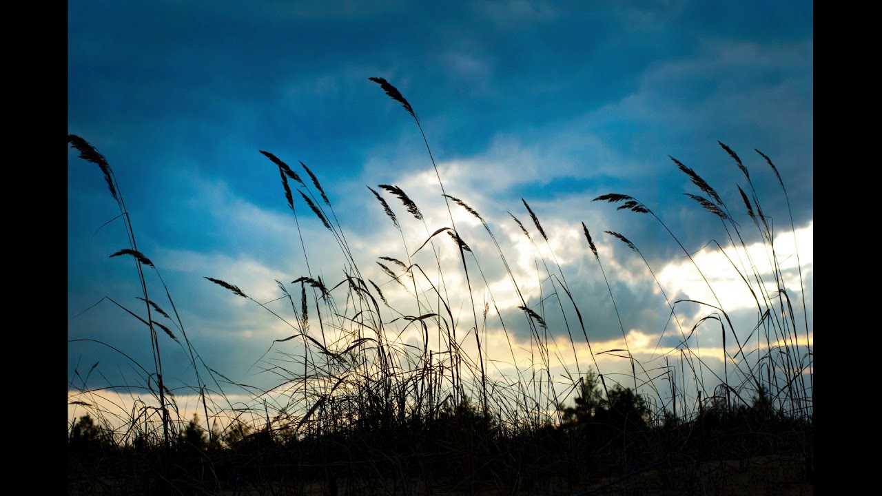 Wind Sound Effect for Relaxation and Sleep - YouTube