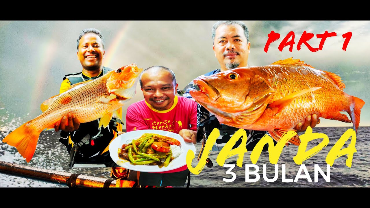 TRIP MAK JANDA 3 BULAN I FISHING I BOTTOM I MANGROOVE JACK I JENAHAK I ...