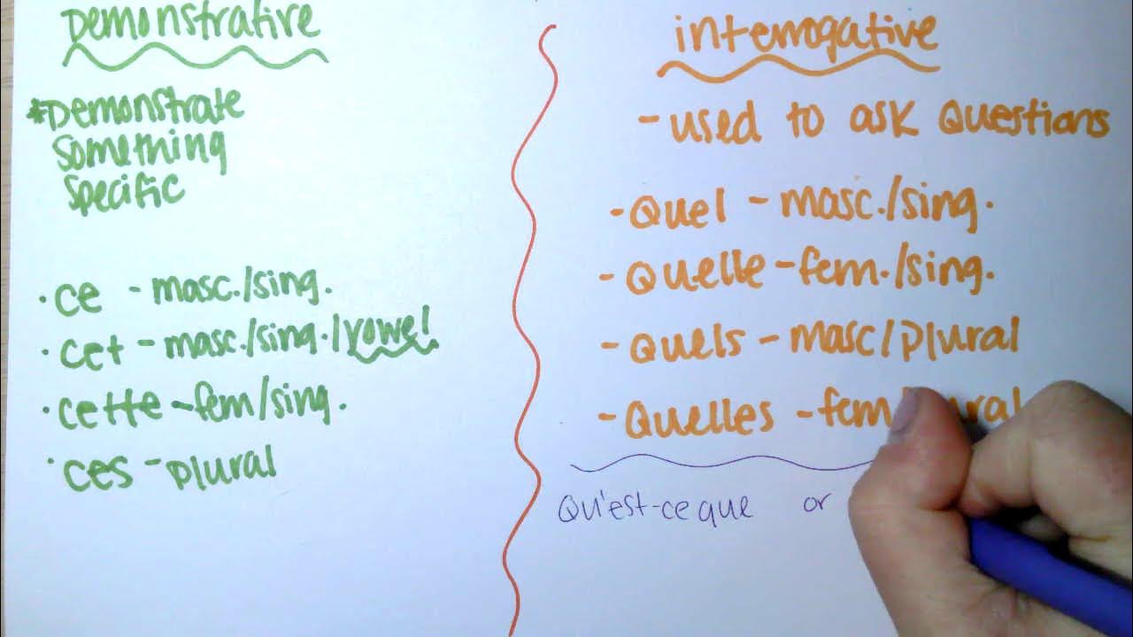 French Demonstrative/Interrogative adjective review - YouTube
