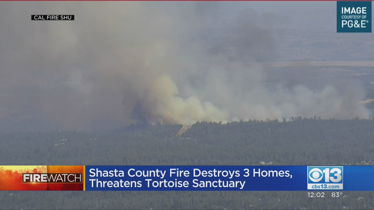 12 Structures Burned Shasta County Peter Fire; At Least 3 Were Homes ...