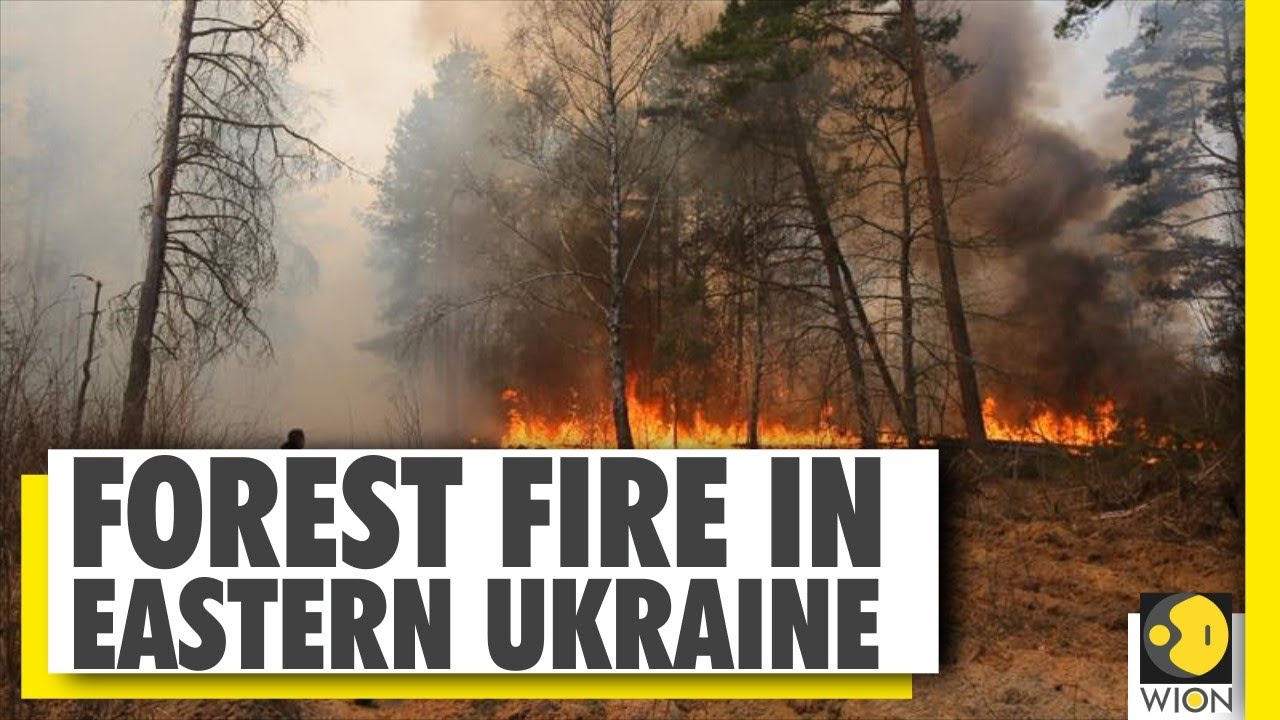 5 killed, 120 homes damaged by forest fires in Eastern Ukraine - YouTube
