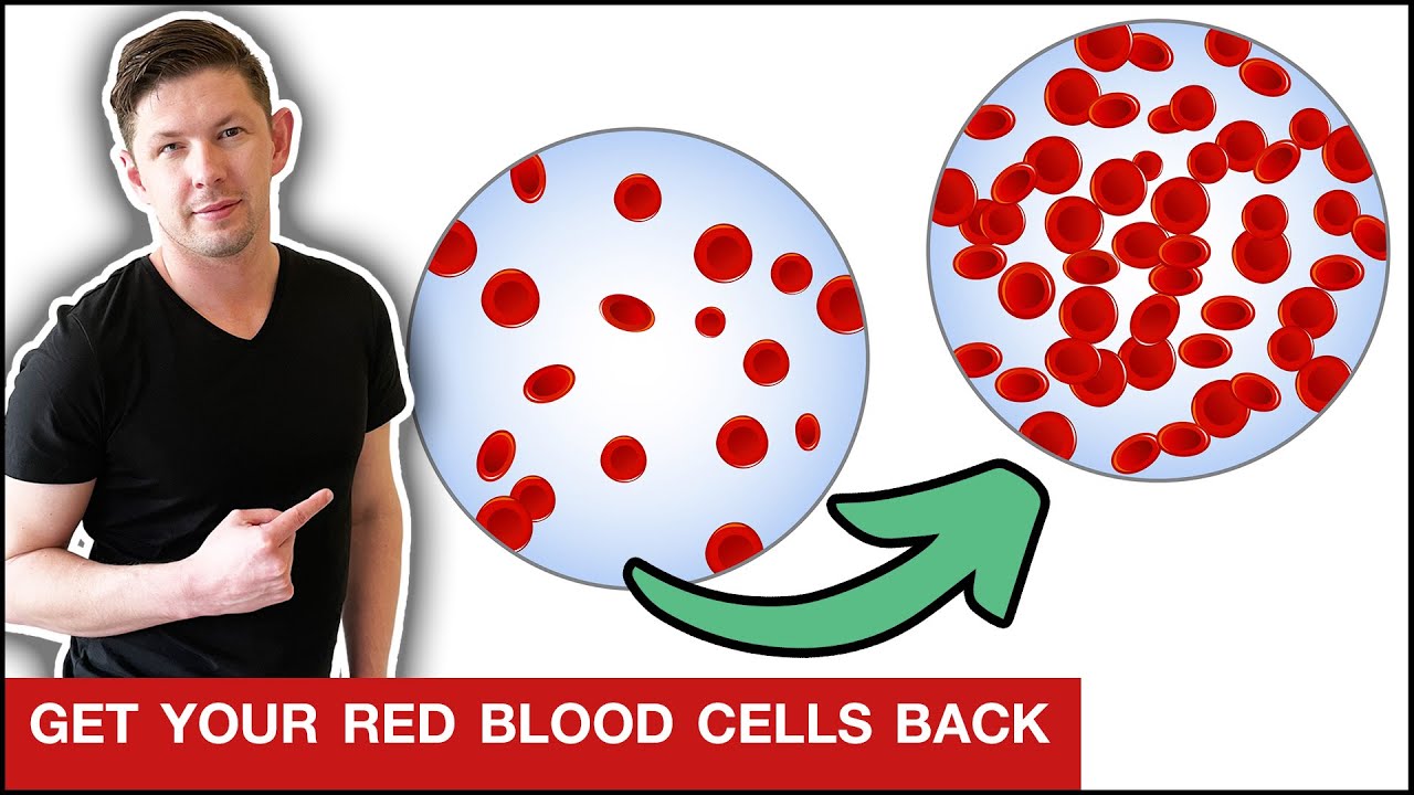 How To Fix Anemia Quickly with IBS, IBD, Crohn's & Ulcerative Colitis ...
