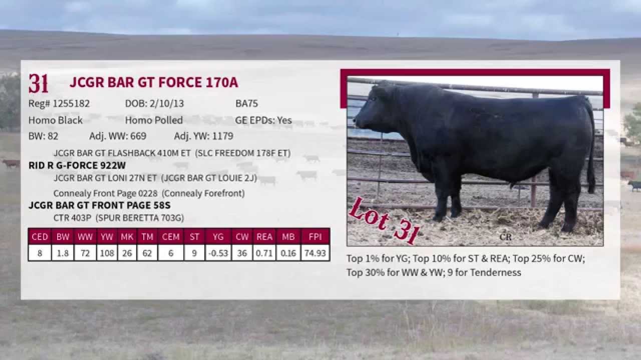 Lot 31: JCGR Bar GT Force 170A - YouTube