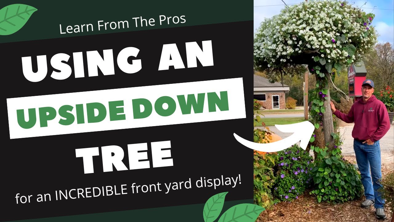 Make an Incredible Front Yard Display with an Upside Down Tree - YouTube