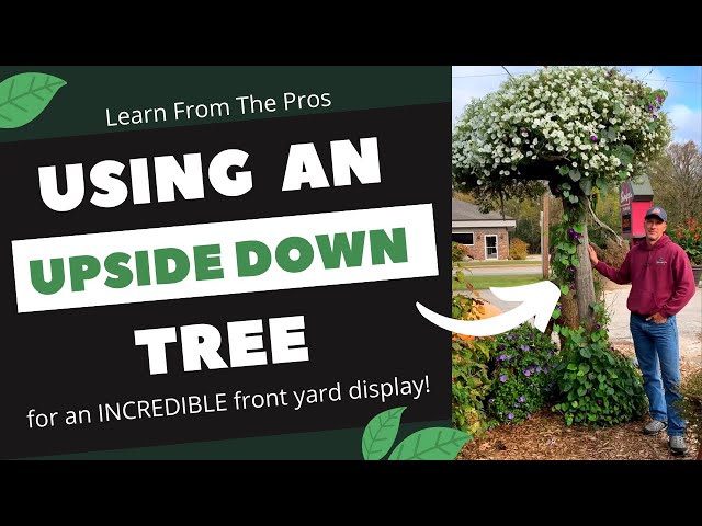 Upside Down Tree Planters Upside Down Orb Planter | Clai.ceramics