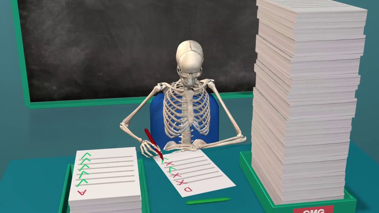 Visible Body Courseware: A 3D Solution for Anatomy Instructors and ...