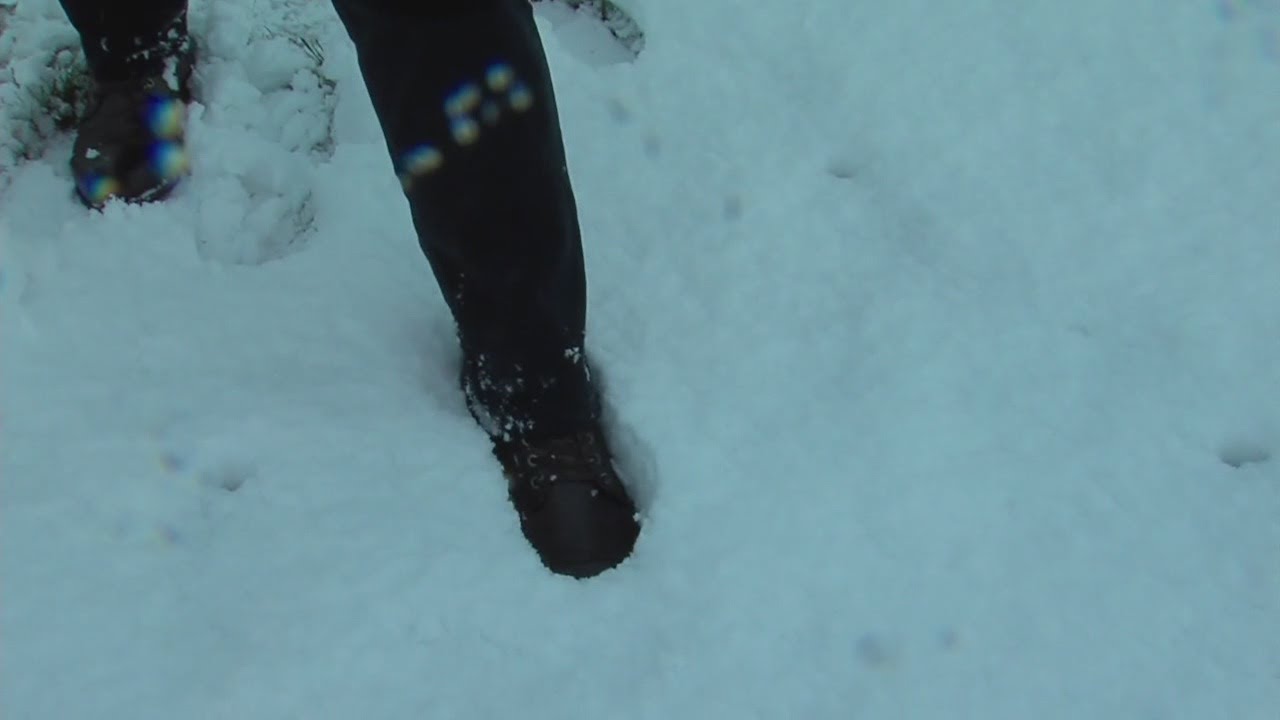 4 inches of snow on ground in Bainbridge - YouTube