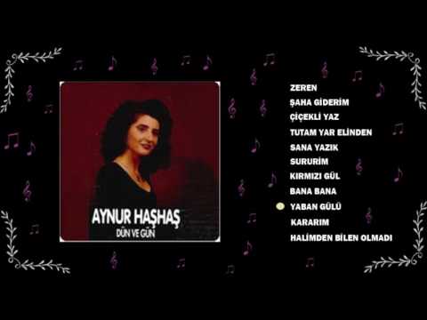 Aynur Haşhaş - Yaban Gülü [Official Audio]