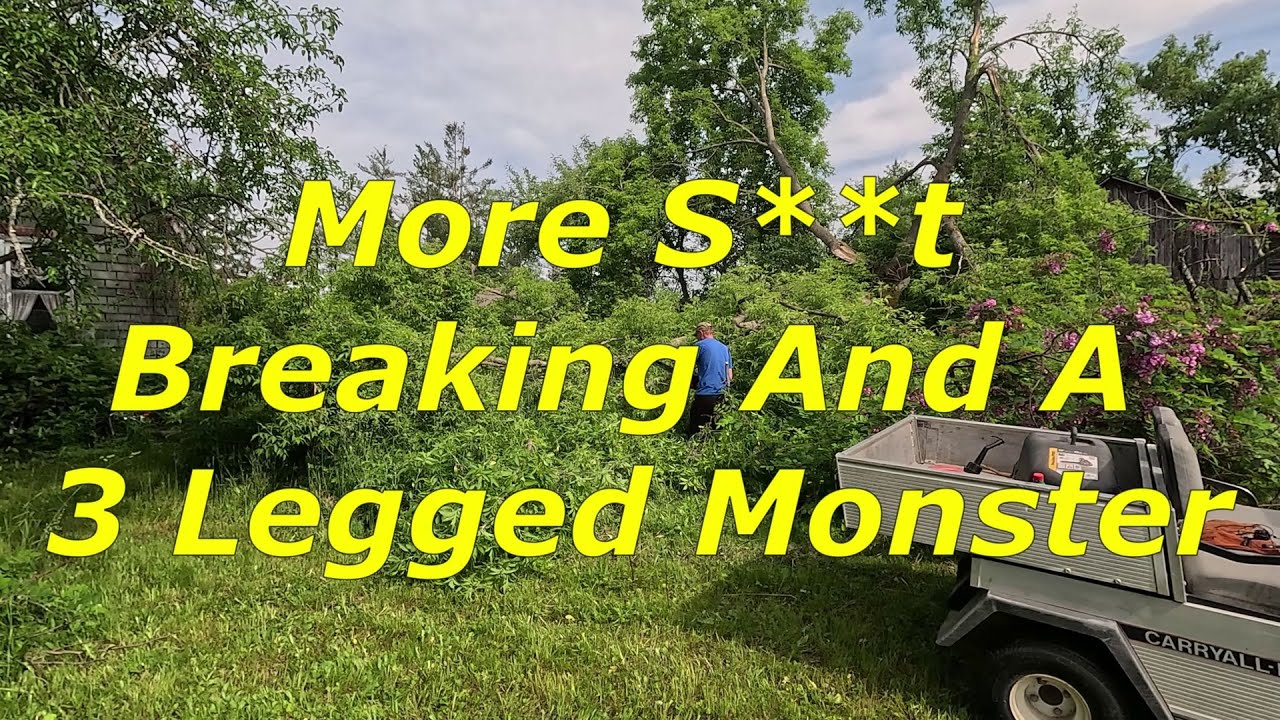 Breakdowns And The 3 Legged Monster - YouTube
