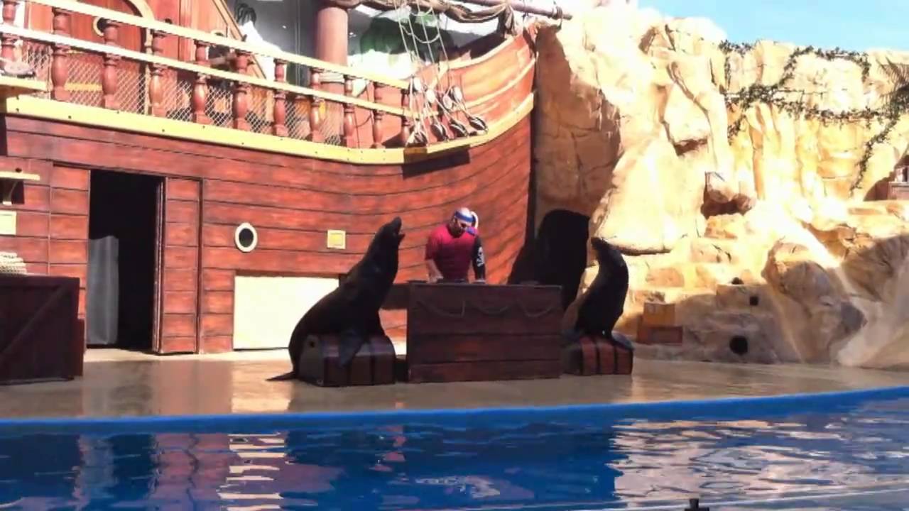 Clyde And Seamore Take Pirate Island Part 1 Youtube