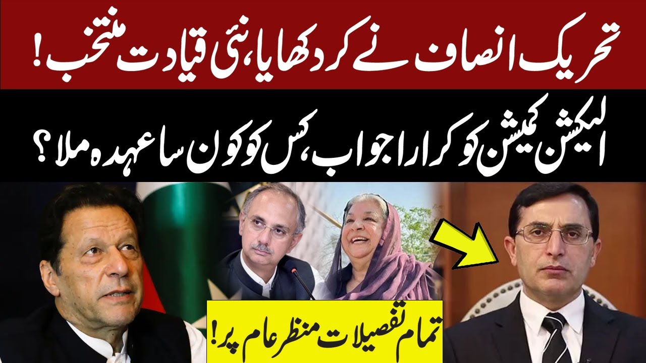Watch: PTI Intra Party Elections | New Chairman PTI Announced | PTI ...