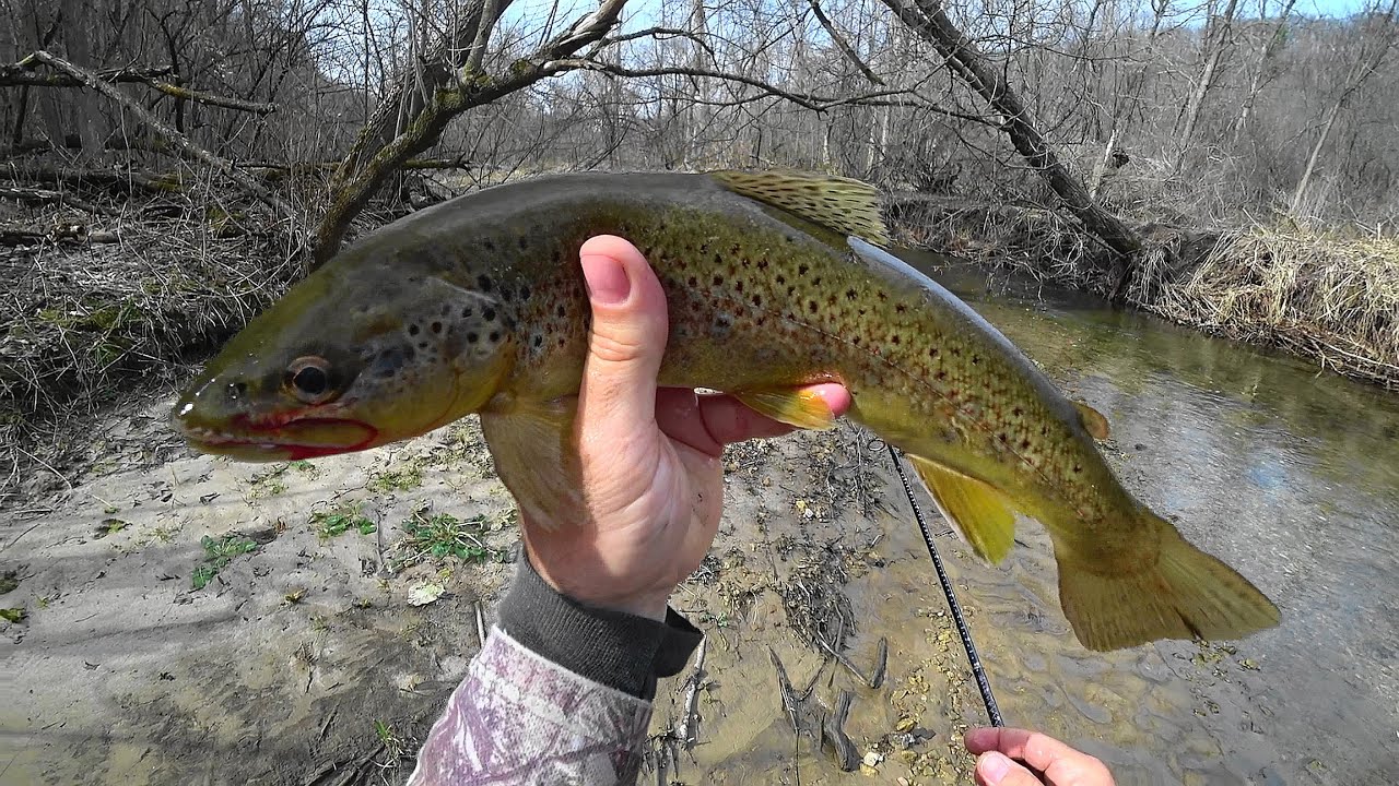 Wisconsin Trout Fishing - 4/4/2020 - YouTube