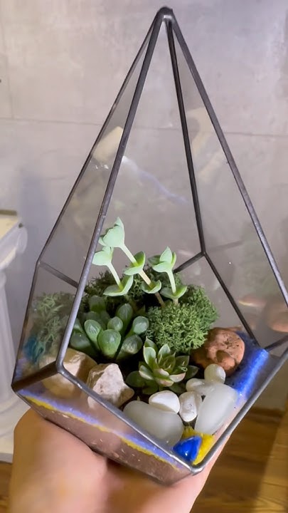 Процесс создания флорариума | The process of creating a florarium - YouTube